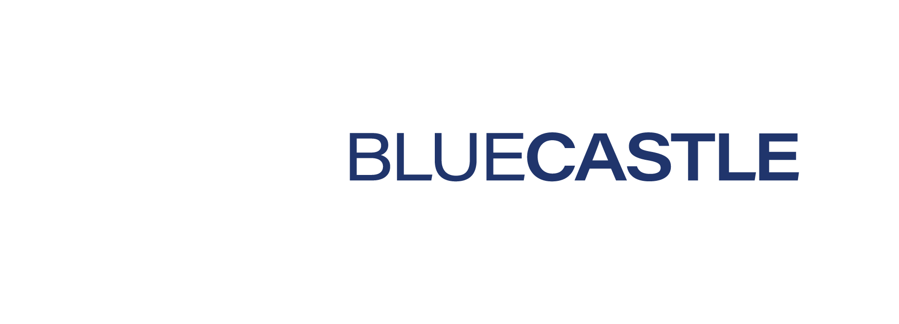 Blue Castle Ventures - Sign In